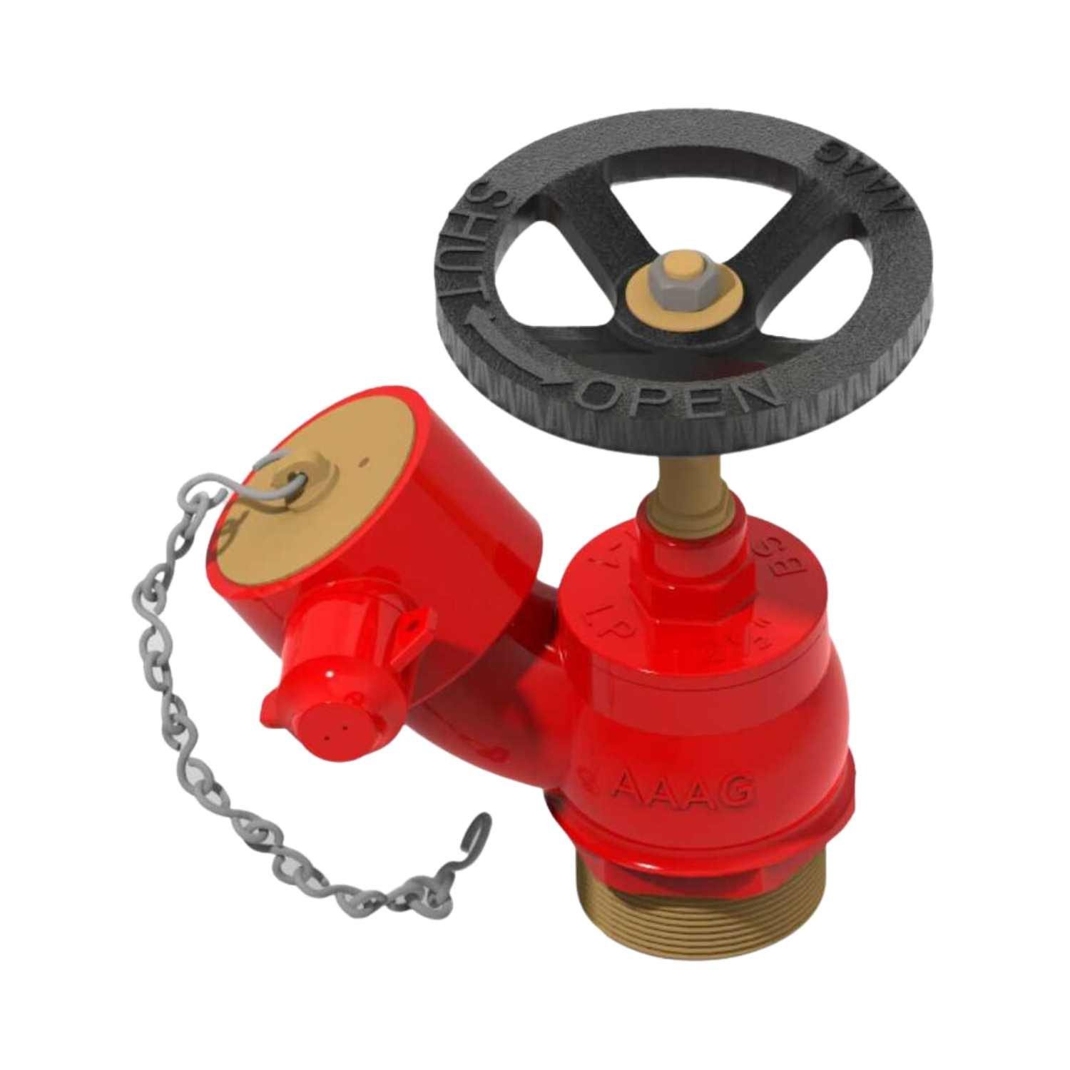 Buy AAAG Oblique landing valve for Wet Riser (G108-BS)